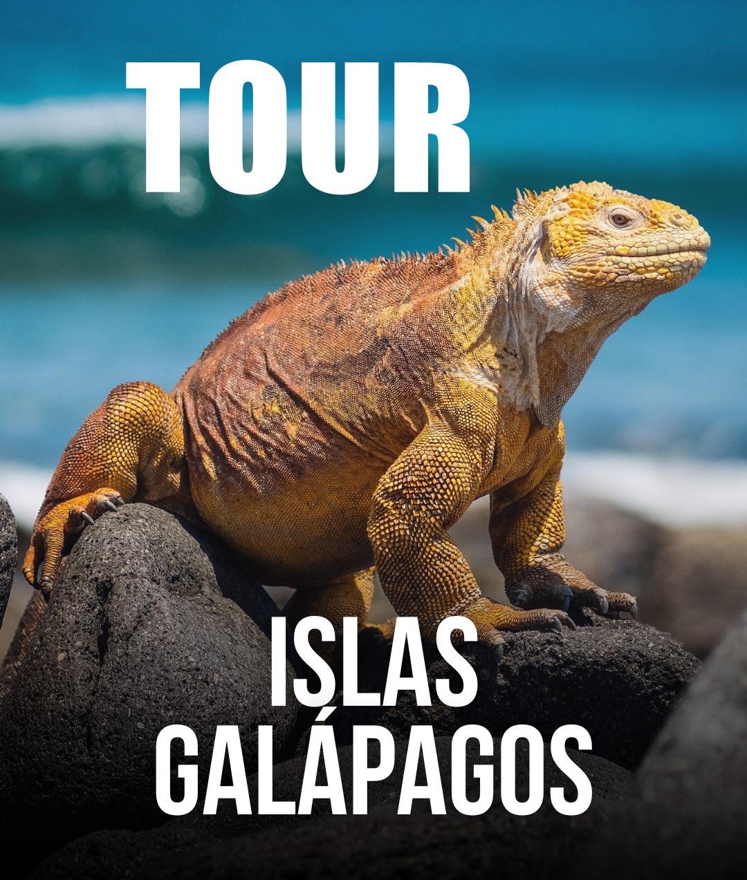 Tour a Galápagos desde Quito | Paquetes Todo Incluido 【AQUÍ】